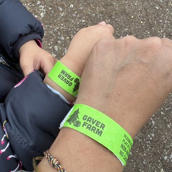 GAVER TREE FARM & PUMPKIN PATCH - Updated September 2024 - 255 Photos ...