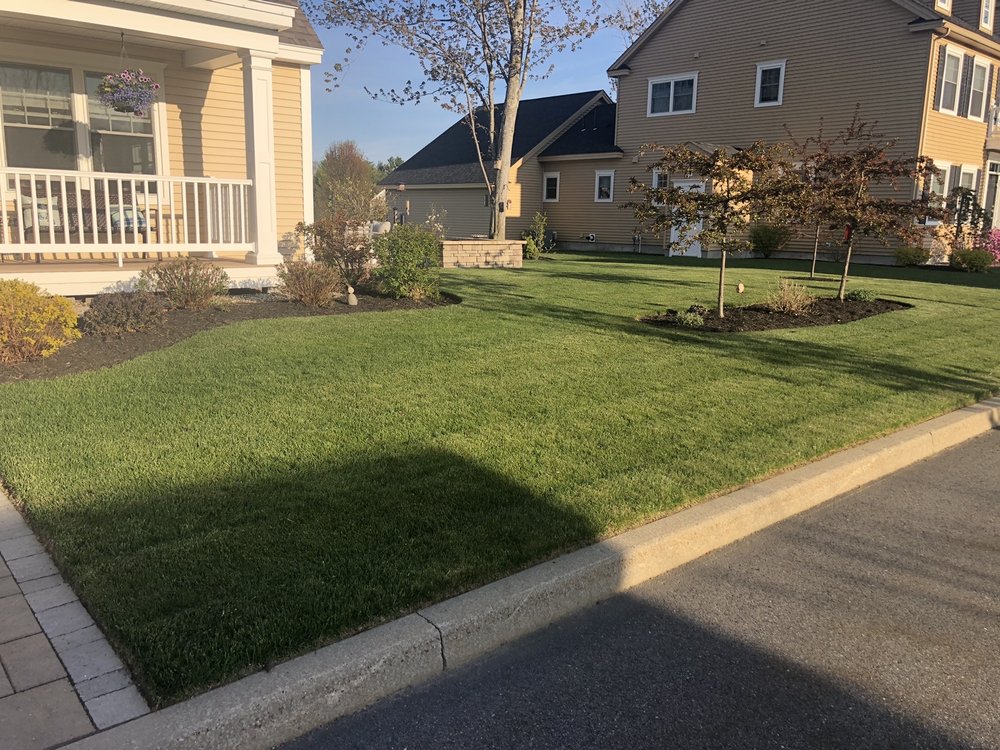 TURF DOCTOR - Updated August 2025 - 220 Industrial Way, Portland, Maine - Lawn Services - Phone ...