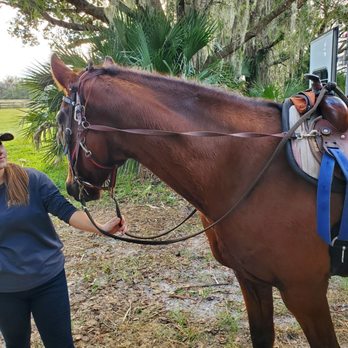 HIDDEN PALMS RANCH - Updated December 2025 - 93 Photos & 28 Reviews ...