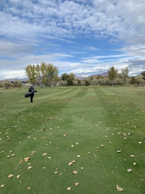 MICK RILEY GOLF COURSE - 12 Photos & 14 Reviews - 665 E Vine St, Salt ...