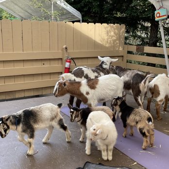 LEMOS FARM - Updated March 2025 - 1162 Photos & 555 Reviews - 12320 San ...