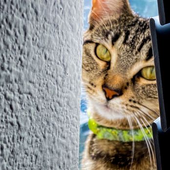 THE KAAWS CLINIC - Updated September 2025 - 45 Photos & 166 Reviews ...