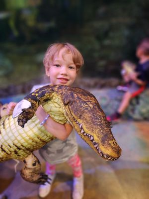 BASS PRO SHOPS - Updated December 2025 - 309 Photos & 78 Reviews ...