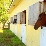 MORNINGSIDE STABLES AT BATTLEBROOK - Updated May 2026 - 20 Photos ...