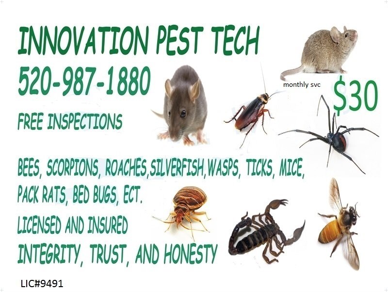 INNOVATION PEST TECH - Updated October 2025 - Tucson, Arizona - Pest ...