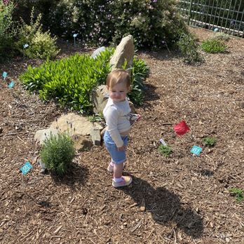 UCR BOTANIC GARDENS - Updated April 2025 - 665 Photos & 131 Reviews - 1 ...