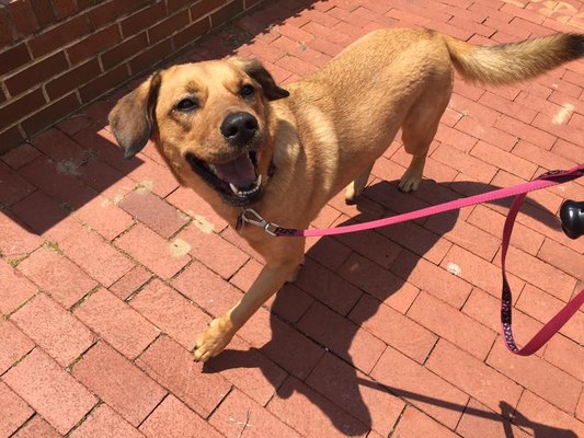 DISTRICT PET CARE - Updated May 2026 - 20 Photos & 25 Reviews ...