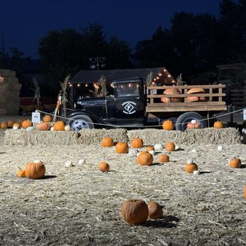 FERRARI FARMS - Updated July 2025 - 175 Photos & 68 Reviews - 4701 Mill ...