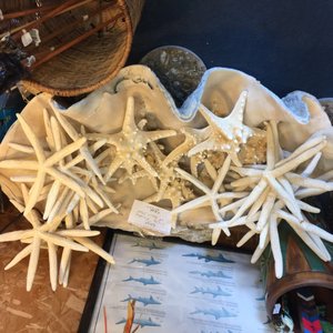 BALIKER GALLERY - Updated May 2025 - 25 Photos - 5922-5928 N Oceanshore ...