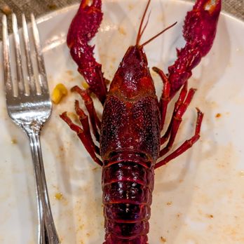 GO CRAWFISH - MONTGOMERY - Updated October 2025 - 17 Photos & 16 ...