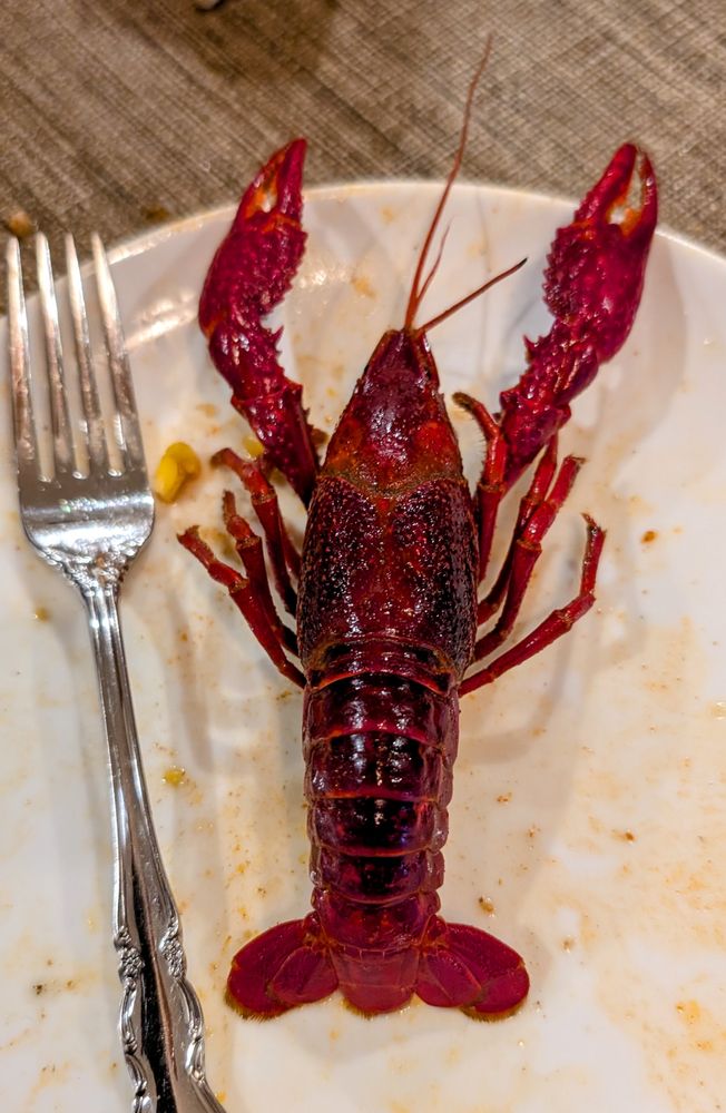 GO CRAWFISH - MONTGOMERY - Updated October 2025 - 17 Photos & 16 ...