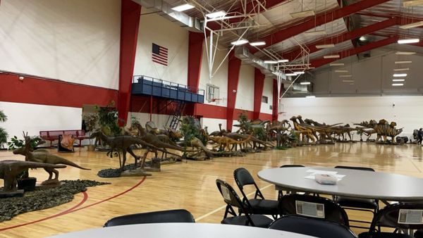 HYPE ATHLETICS - Updated December 2025 - 21 Photos & 11 Reviews - 4635 ...