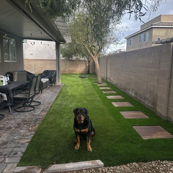 BIG BULLY TURF - Updated August 2025 - 392 Photos & 139 Reviews - 921 ...