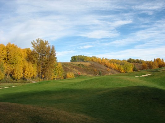 JERRY’S - Updated October 2024 - 20 Photos - 376 D'Arcy Ranch Drive ...