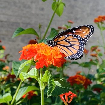 WHITE TANK LIBRARY - Updated December 2025 - 104 Photos & 43 Reviews ...