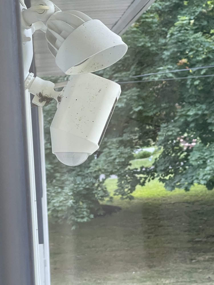 FOX PEST CONTROL - OXFORD - Updated June 2025 - 119 Reviews - 6 Benson ...