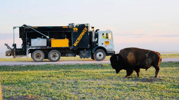 VSS INTERNATIONAL - Updated October 2025 - 15 Reviews & 18 Photos ...