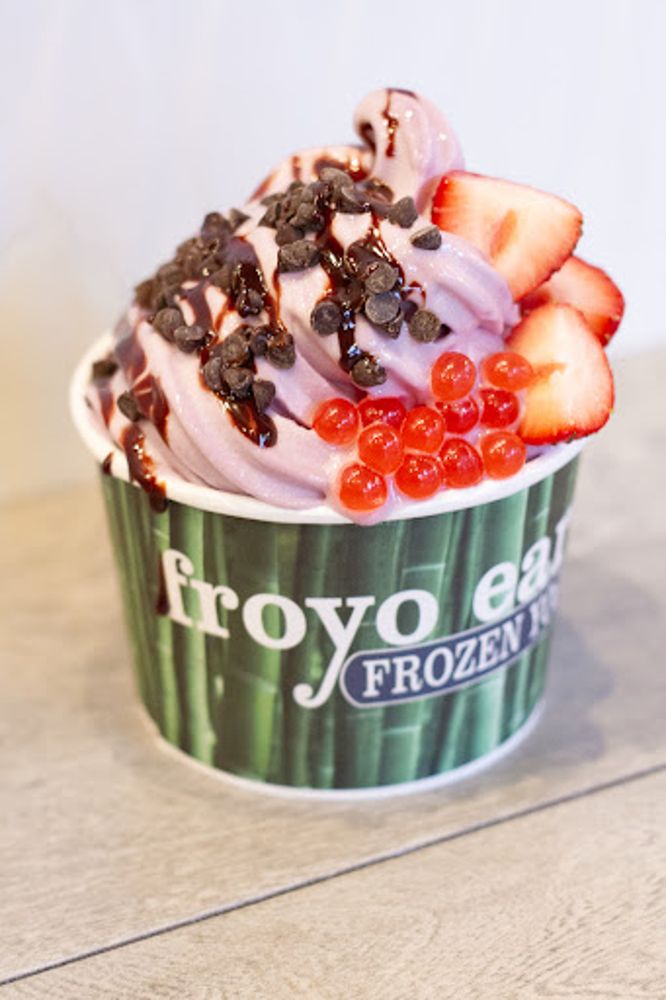 FROYO EARTH - Updated August 2025 - 44 Photos & 41 Reviews - 246 W ...