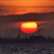 BALLAST POINT PARK - 214 Photos & 77 Reviews - Parks - 5300 Interbay ...