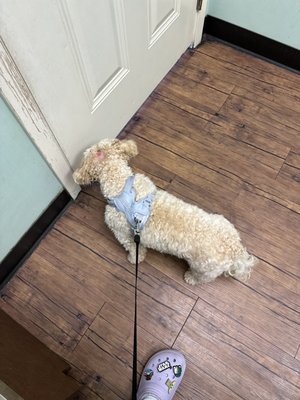 THE KAAWS CLINIC - Updated September 2025 - 45 Photos & 166 Reviews ...