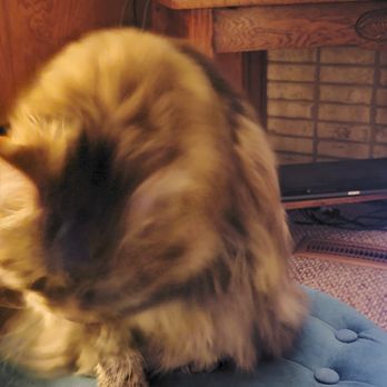 VCA MONTGOMERY ROAD ANIMAL HOSPITAL - Updated December 2025 - 48 Photos ...