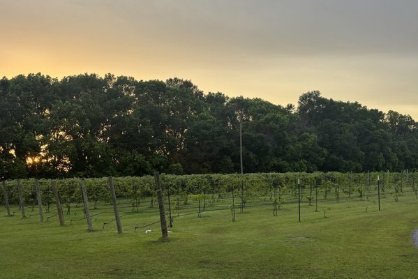 SOUTHERN GROVE WINERY - Updated September 2025 - 19 Photos - 10176 Co ...