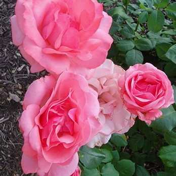 ASCENSION BORGESS HOSPITAL - Updated February 2025 - 25 Photos & 69 ...