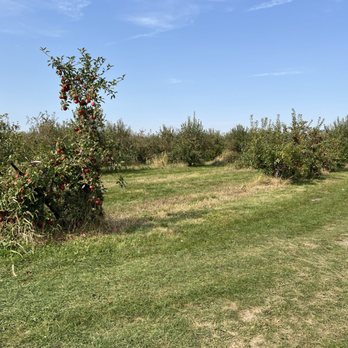 STUCKEY FARM ORCHARD AND CIDER MILL - Updated December 2025 - 195 ...