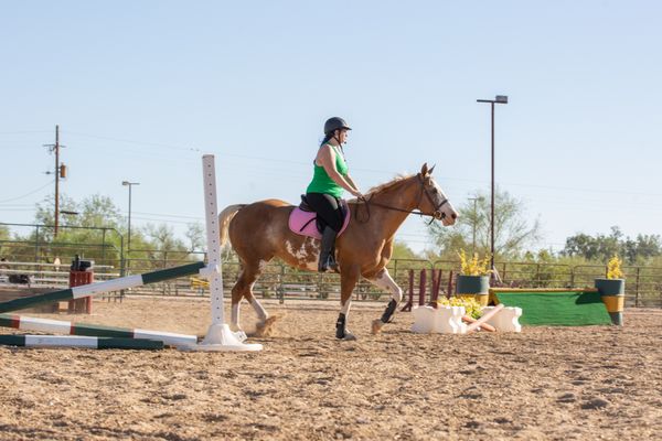 ROLLING HILLS RIDING ACADEMY - Updated July 2025 - 16 Photos - 11600 N ...