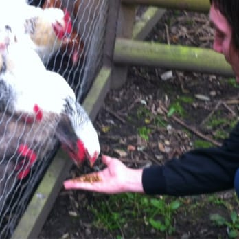 HOO FARM ANIMAL KINGDOM - Updated July 2025 - 69 Photos - Hoo Farm ...