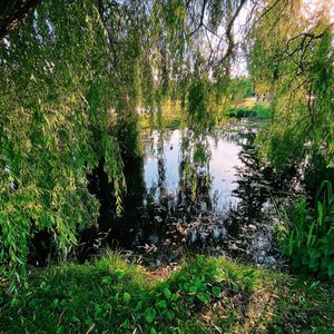 SIXTY ACRES PARK - Updated April 2025 - 67 Photos & 15 Reviews - 15200 ...