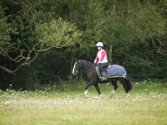 CLACK MILL RIDING STABLES - Updated January 2025 - 25 Photos - Clack ...