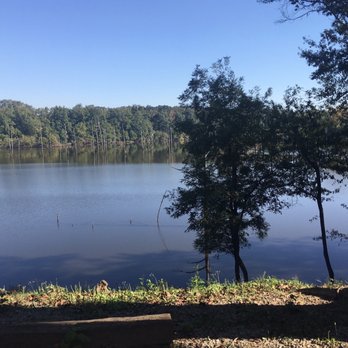 JACKSON LAKE ISLAND - Updated January 2026 - 56 Photos & 15 Reviews ...