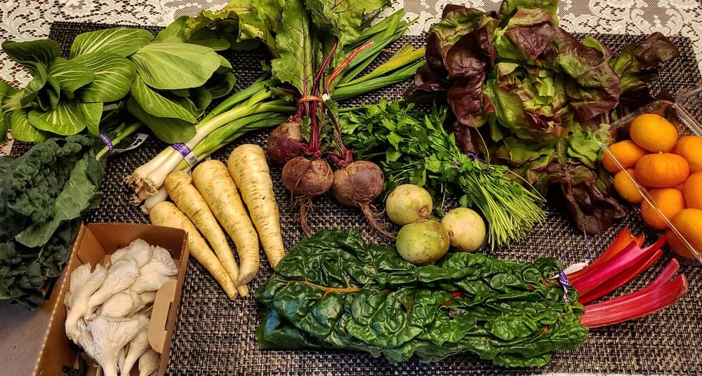 COKE FARM - Updated January 2025 - 15 Photos - 1681 San Justo Rd, San ...