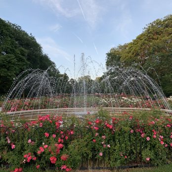 WHETSTONE PARK OF ROSES - Updated July 2025 - 365 Photos & 123 Reviews ...