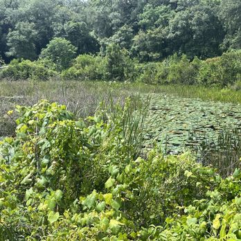 LONG KEY NATURAL AREA & NATURE CENTER - Updated February 2025 - 300 ...