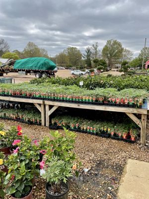 DIGGER O’DELL NURSERIES - Updated April 2024 - 49 Photos & 11 Reviews ...