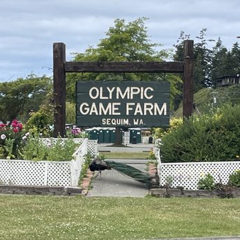 OLYMPIC GAME FARM - Updated January 2026 - 900 Photos & 394 Reviews ...