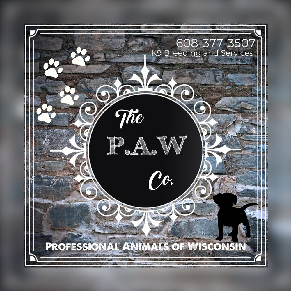 THE PAW COMPANY - Updated November 2025 - 17 Photos - N10574 7th Ave ...