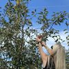 BJ REECE ORCHARDS - Updated December 2025 - 484 Photos & 207 Reviews ...