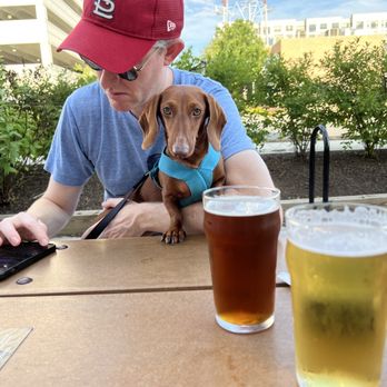 CABOOSE COMMONS - 1164 Photos & 608 Reviews - 2918 Eskridge Rd, Fairfax ...