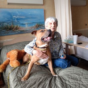 WOBURN NURSING CENTER - Updated December 2025 - 13 Reviews - 18 Frances ...