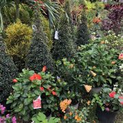 SOUTHWEST RANCHES FARMER’S MARKET - 49 Photos & 62 Reviews - 5150 S ...