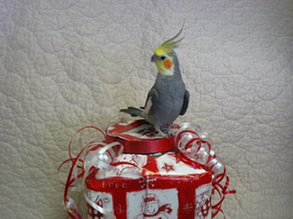 CENTER LINE VETERINARY HOSPITAL - Updated July 2024 - 26 Photos & 19 ...