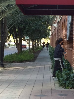 ORANGE COUNTY TAX COLLECTOR - Updated January 2026 - 17 Photos & 49 ...