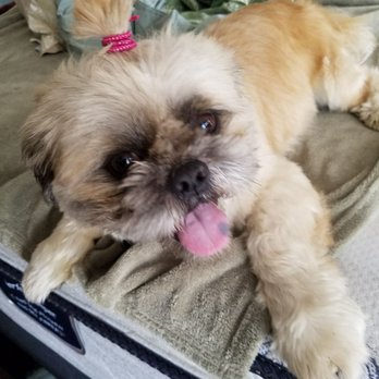 MERRICK BLVD ANIMAL HOSPITAL - Updated October 2025 - 10 Photos & 16 ...