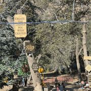 OAK TREE MOUNTAIN - 509 Photos & 120 Reviews - 38480 Oak Glen Rd, Oak ...