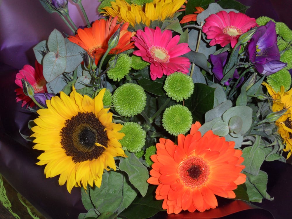 FLOWER RANGER - Updated August 2025 - 67 Photos - 16 Chipstead Station ...