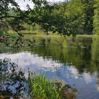 ERVING STATE FOREST - Updated June 2025 - 27 Photos - N St, Erving ...