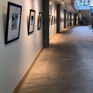 FRAMING ESTABLISHMENT - 16 Photos - 655 W South Jordan Pkwy, South ...